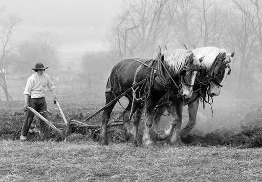 Clinton Historical Society Exhibit Examines Farm Life Before Tractors ...