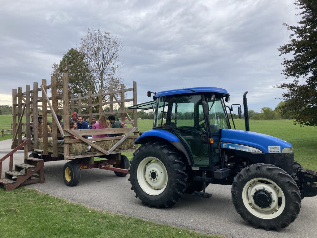 Harvest Fest at Stony Kill Farm