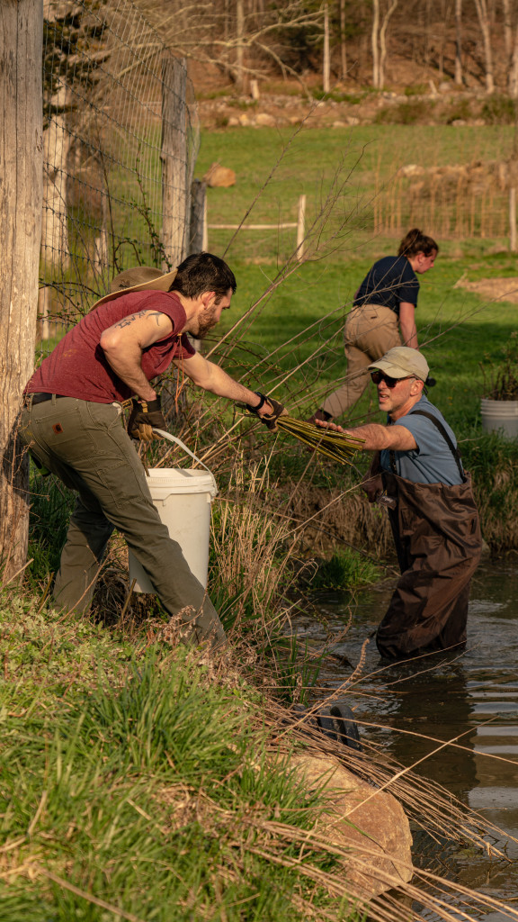 Spring Tree Planting at Harlem Valley Homestead