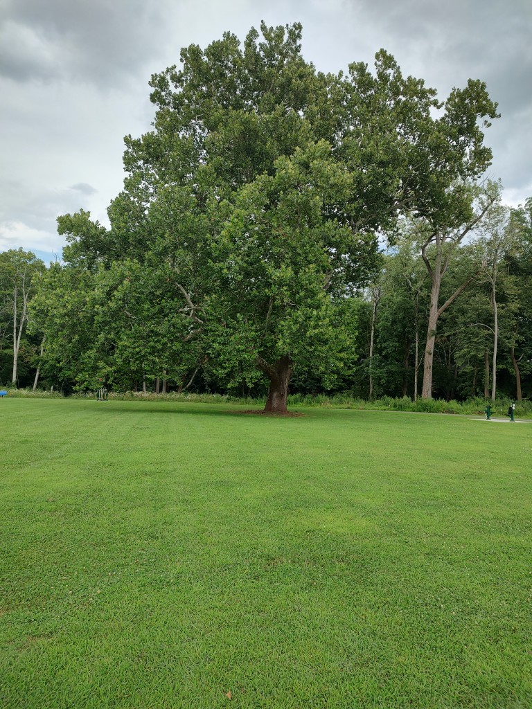 Fly-Tying and Aquatic Health Event at J.H. Ketcham Memorial Park Pavilion