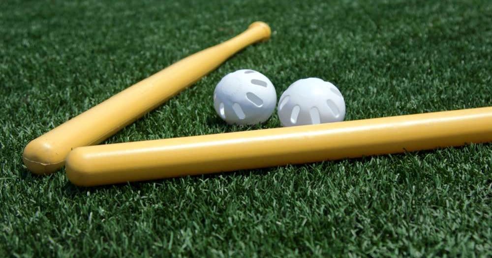 Brewers' Wiffle Ball Tournament at Plan Bee Farm Brewery