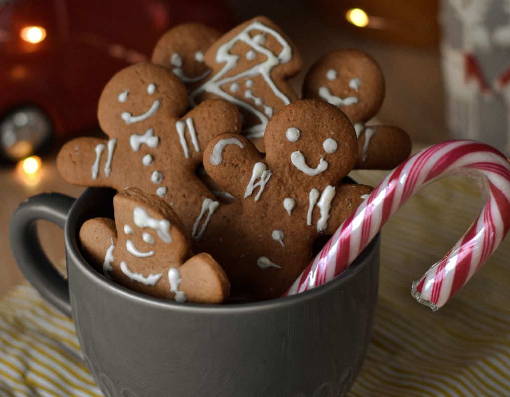 Gingerbread Cookie Decorating Workshop at the Mid-Hudson Discovery Museum