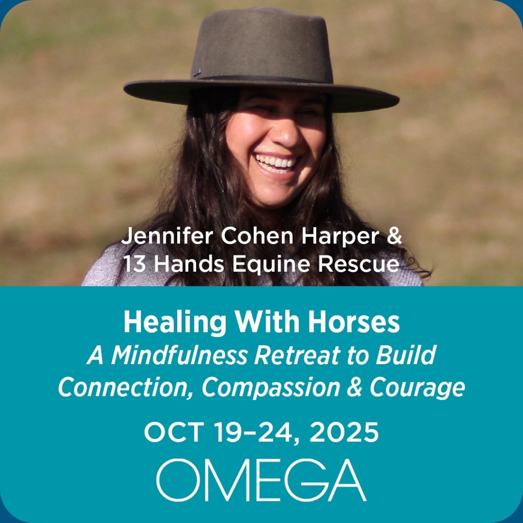 Image of Faculty Jennifer Cohen Harper