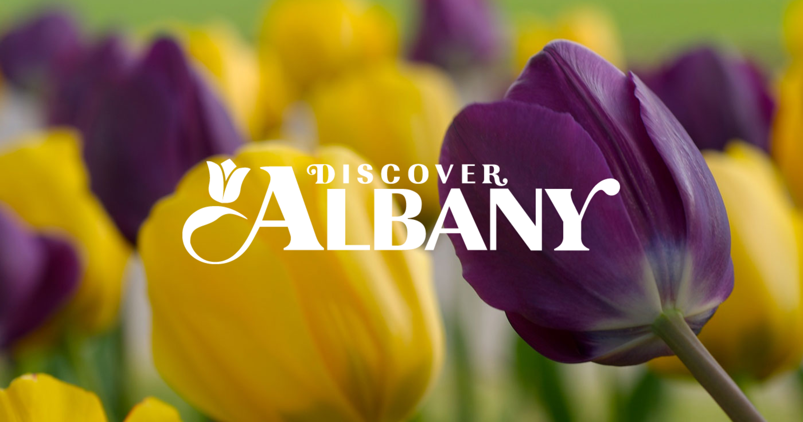 Things to Do in Albany, NY | Festivals, Events & More