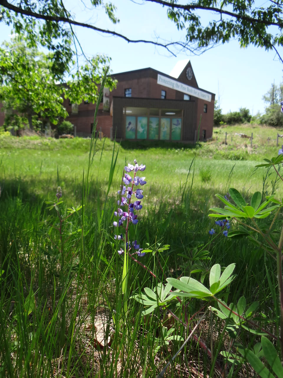 Albany Pine Bush Preserve Commission