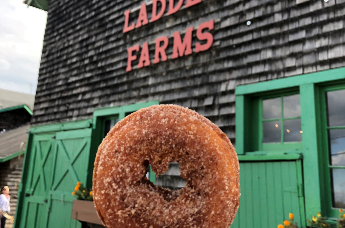 Indian Ladder Farms