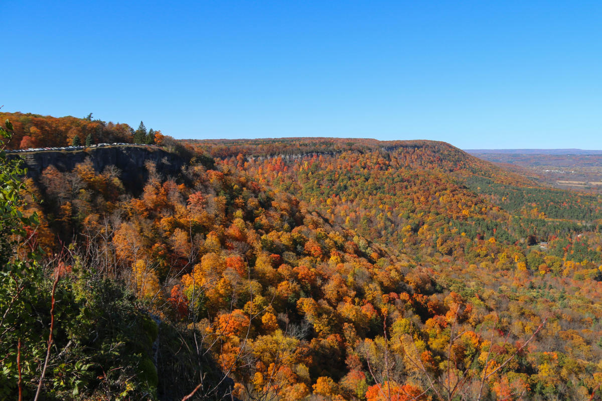 Top Spots for Fall Foliage Adventures in Albany County