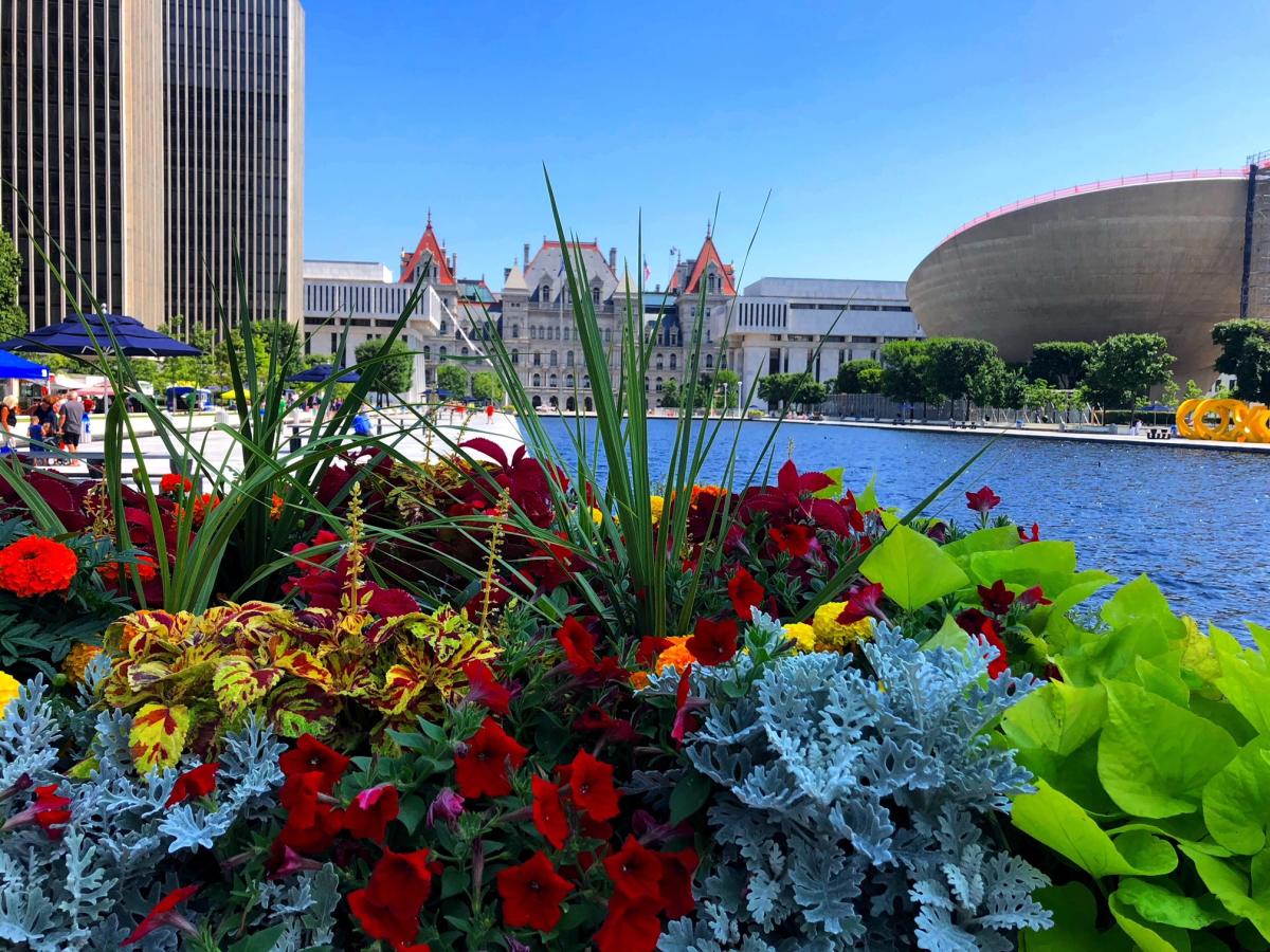 Summer Event Series in Albany