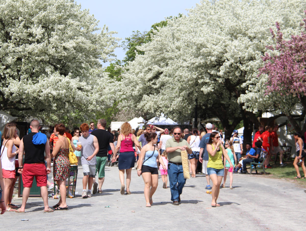 Ultimate Guide to Spring & Summer Festivals in Albany County