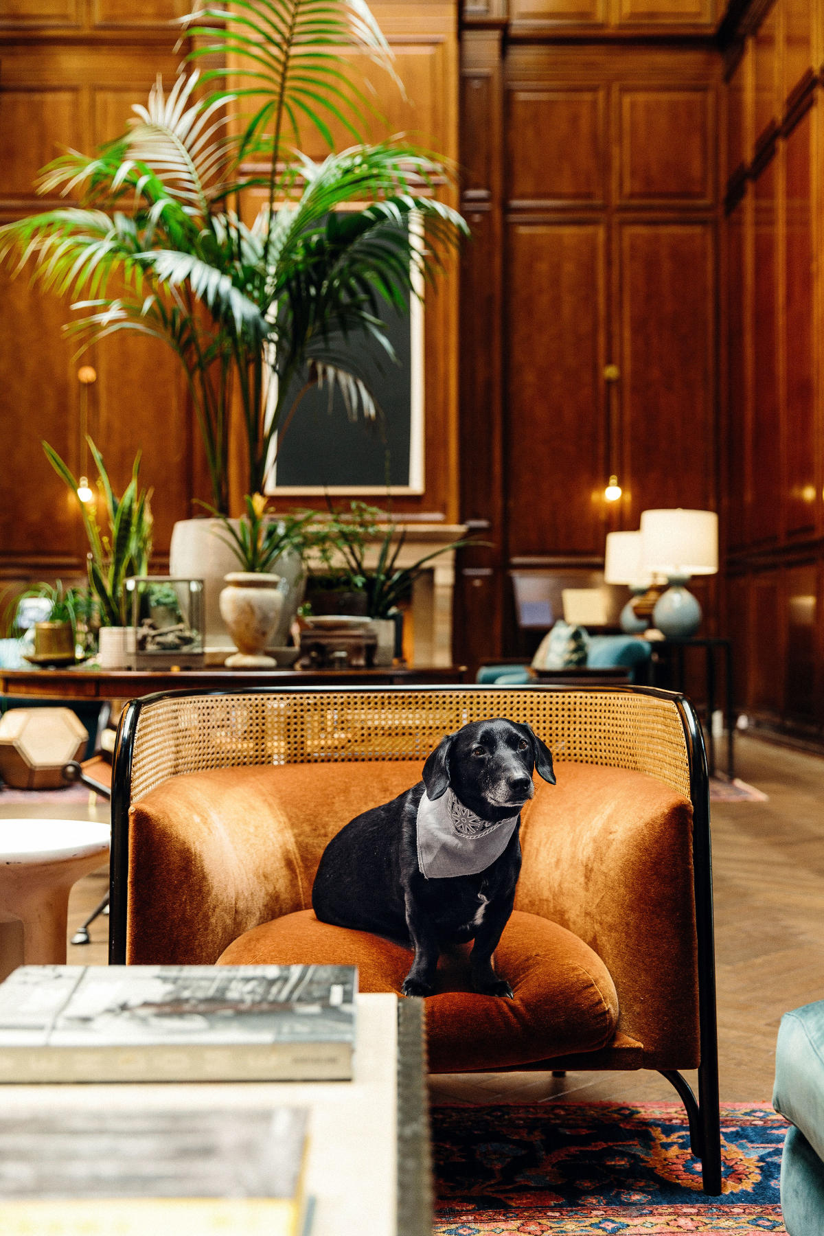 The Adolphus Hotel