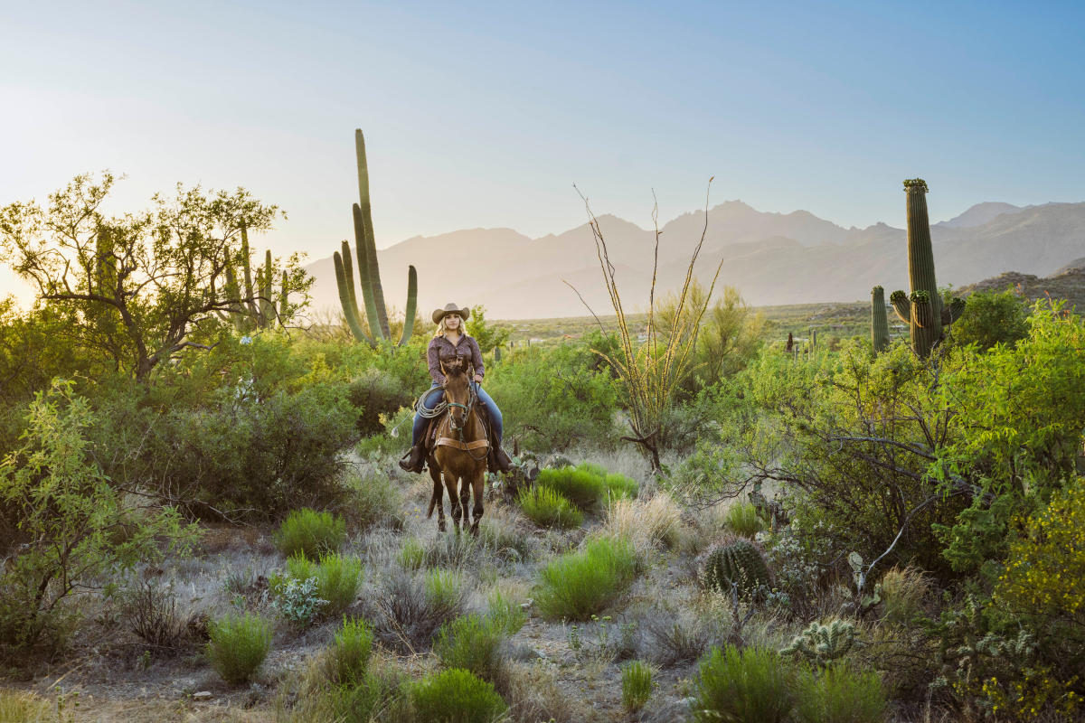 Tanque Verde Ranch