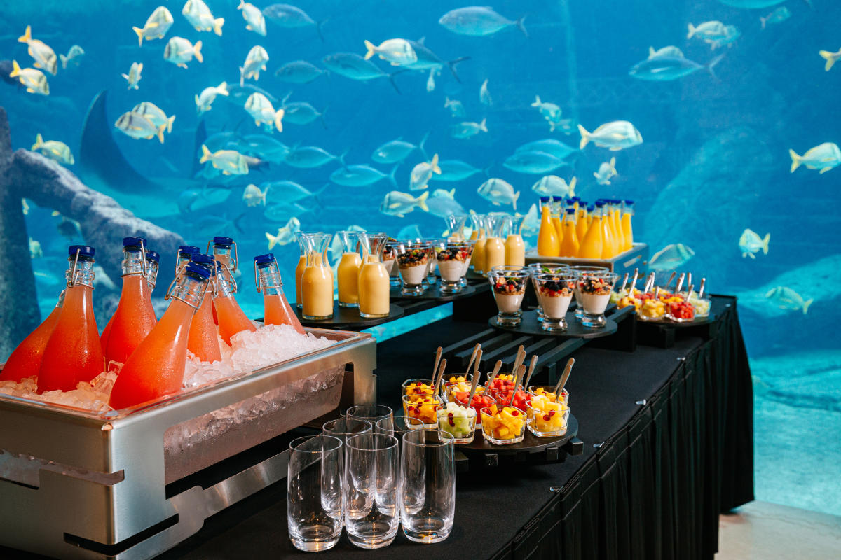 Atlantis, Paradise Island