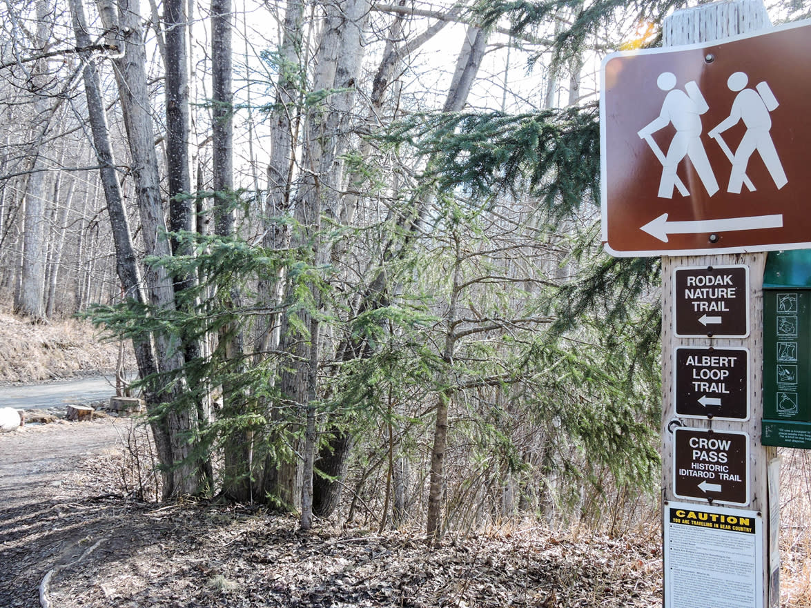 anchorage | Albert Loop Trail | Visit Anchorage