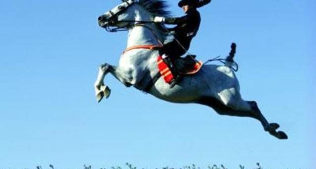 caballos andaluces comparsa