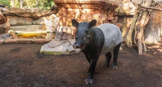 Fuengirola Zoo Bioparc Fuengirola (Zoo) • Mapy.com