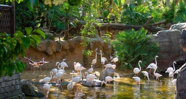 Fuengirola Zoo Bioparc Fuengirola (Zoo) • Mapy.com