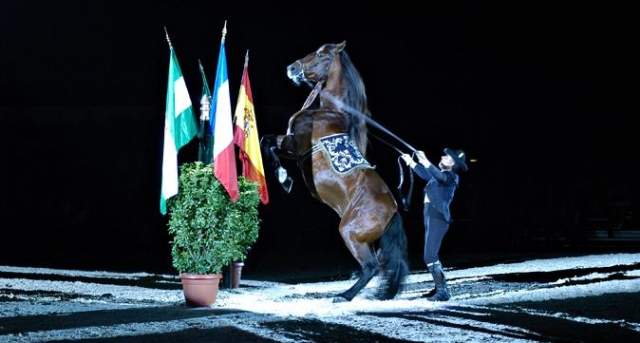 caballos andaluces comparsa