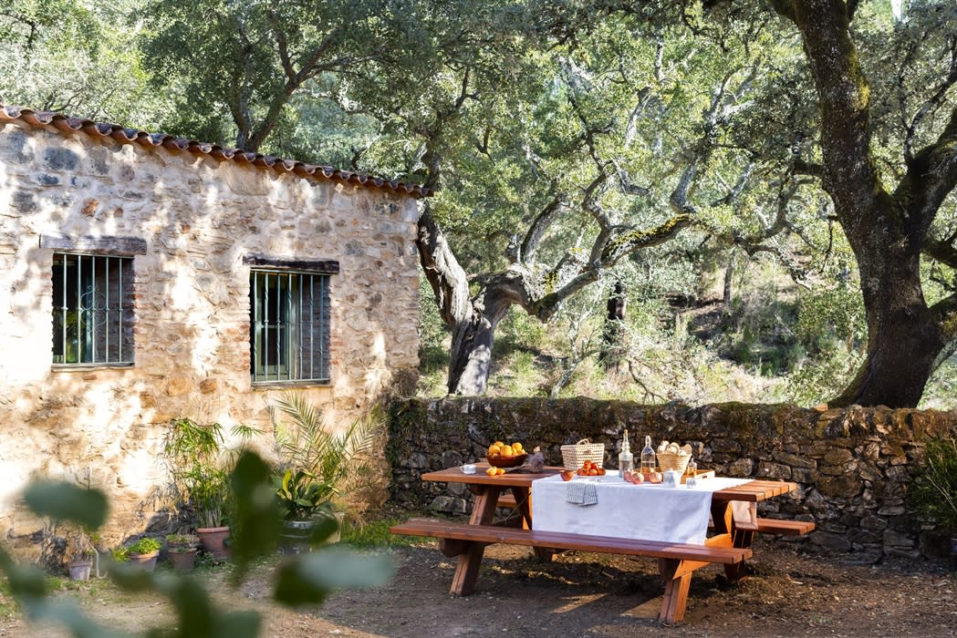 Casa Rural Nature Space Jabugo. Origanum