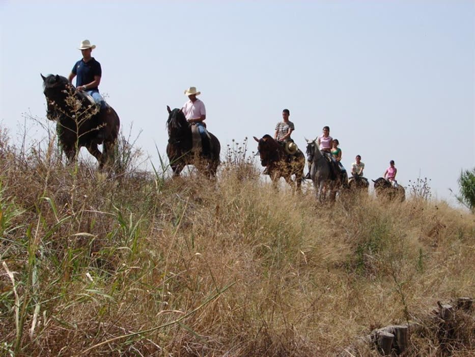 Centro Ecuestre Román Romero