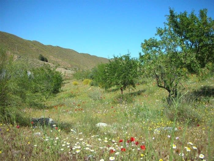 Sendero La Cuesta Blanca. De Sierro a Bacares - PR-A 14