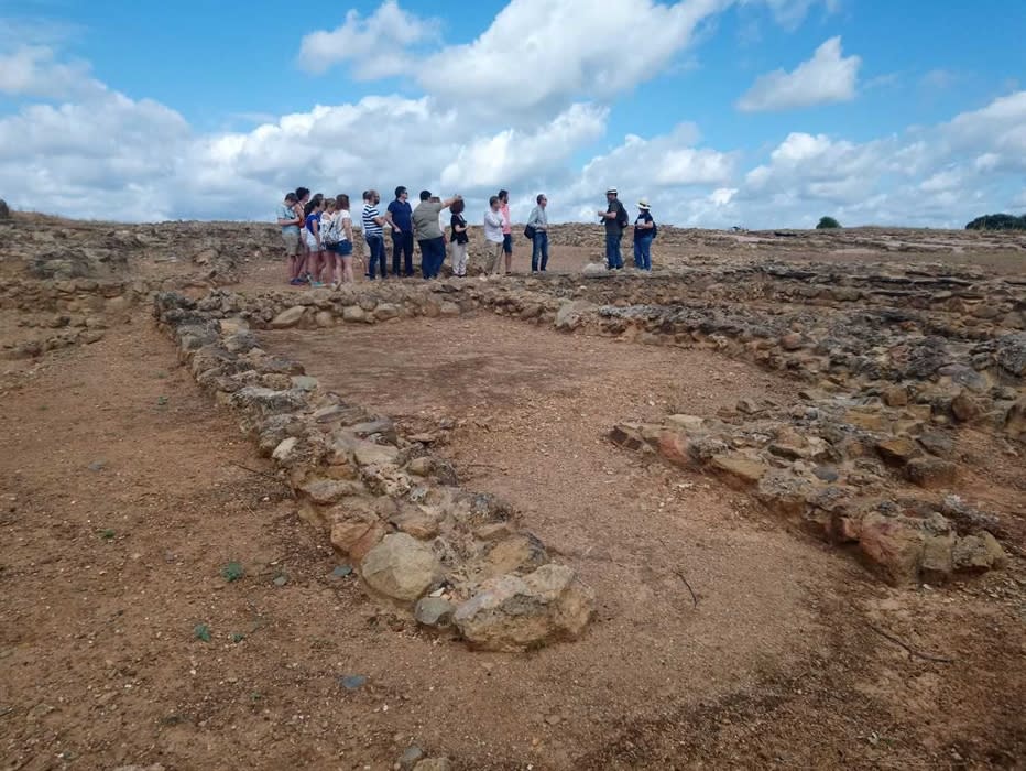 Enclave Arqueológico de Tejada la Vieja