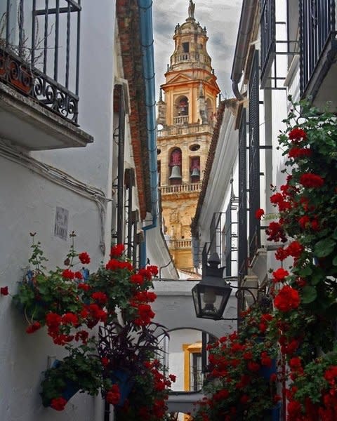 Meryan Craftwork In Leather