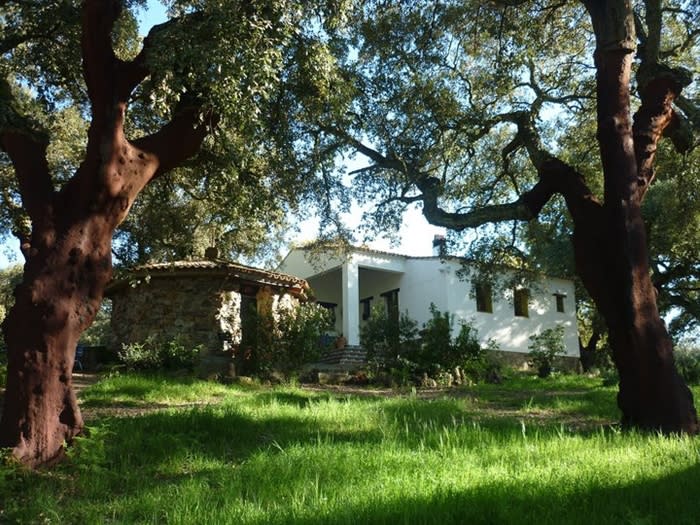Vivienda Rural Finca El Chaparral
