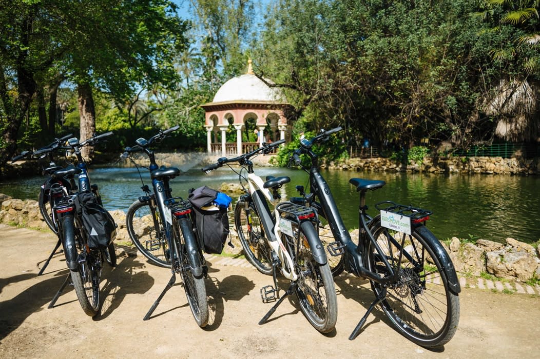 E-bike rental 3 horas