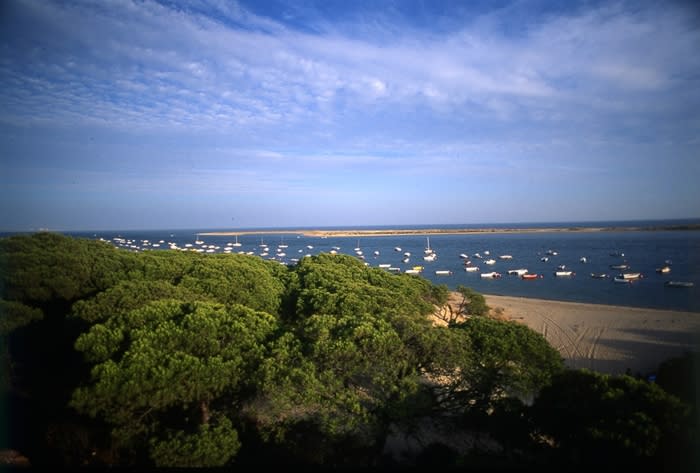 Marismas del Río Piedras y Flecha del Rompido