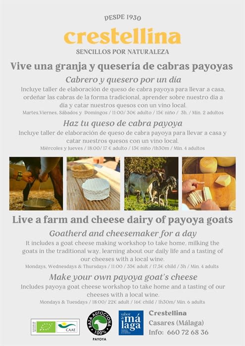 Goatherd and cheesemaker for a day in the mountains of Malaga