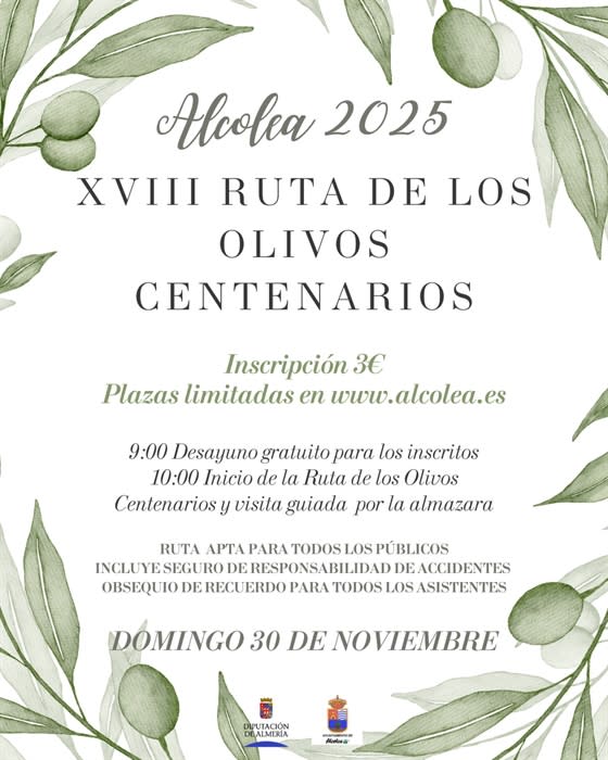 Route of the centenary olive tree