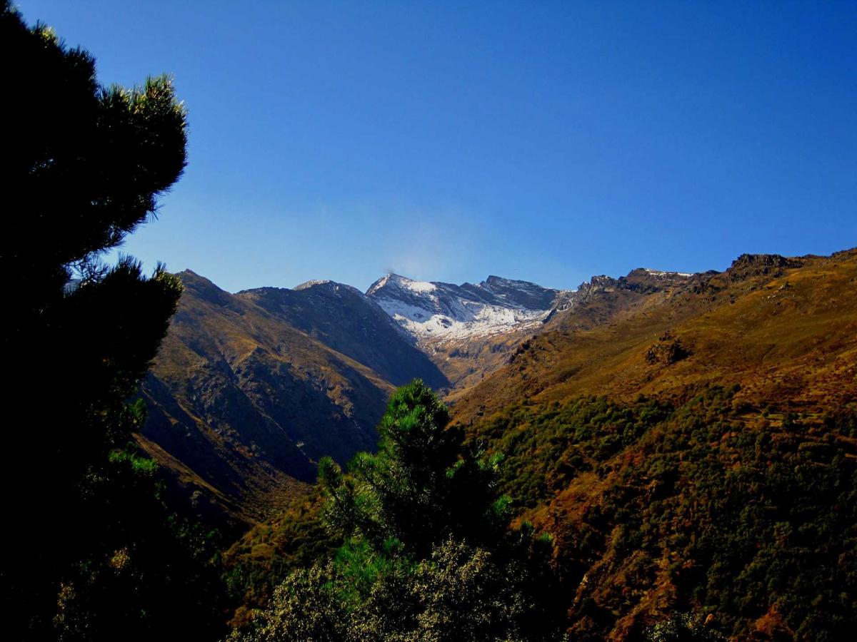 Sierra Nevada in Summer