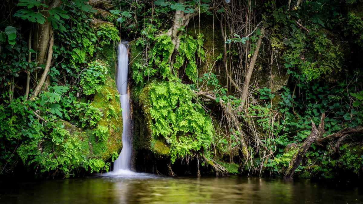 Baños de Popea y Arroyo Bejarano