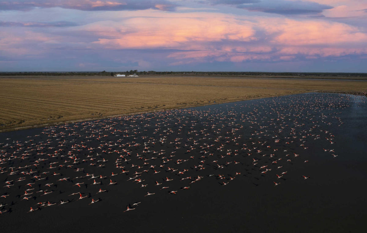 Naturally Responsible