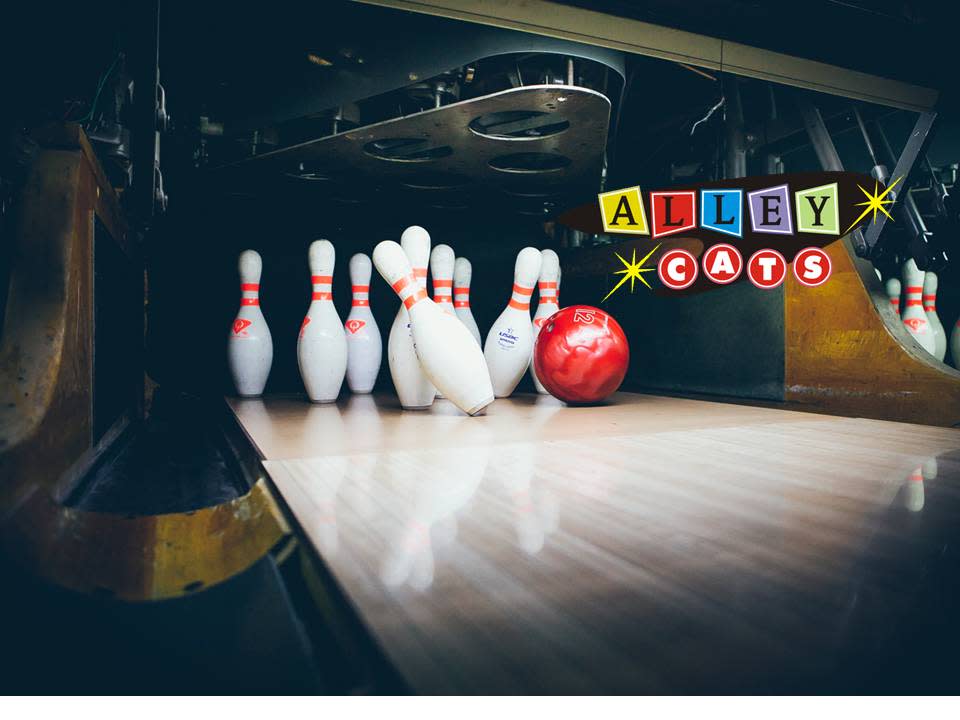 laser cat bowling