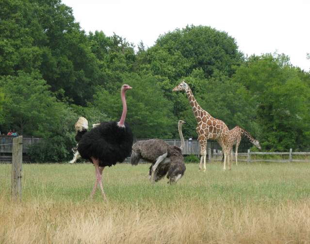 Cape May County Park & Zoo