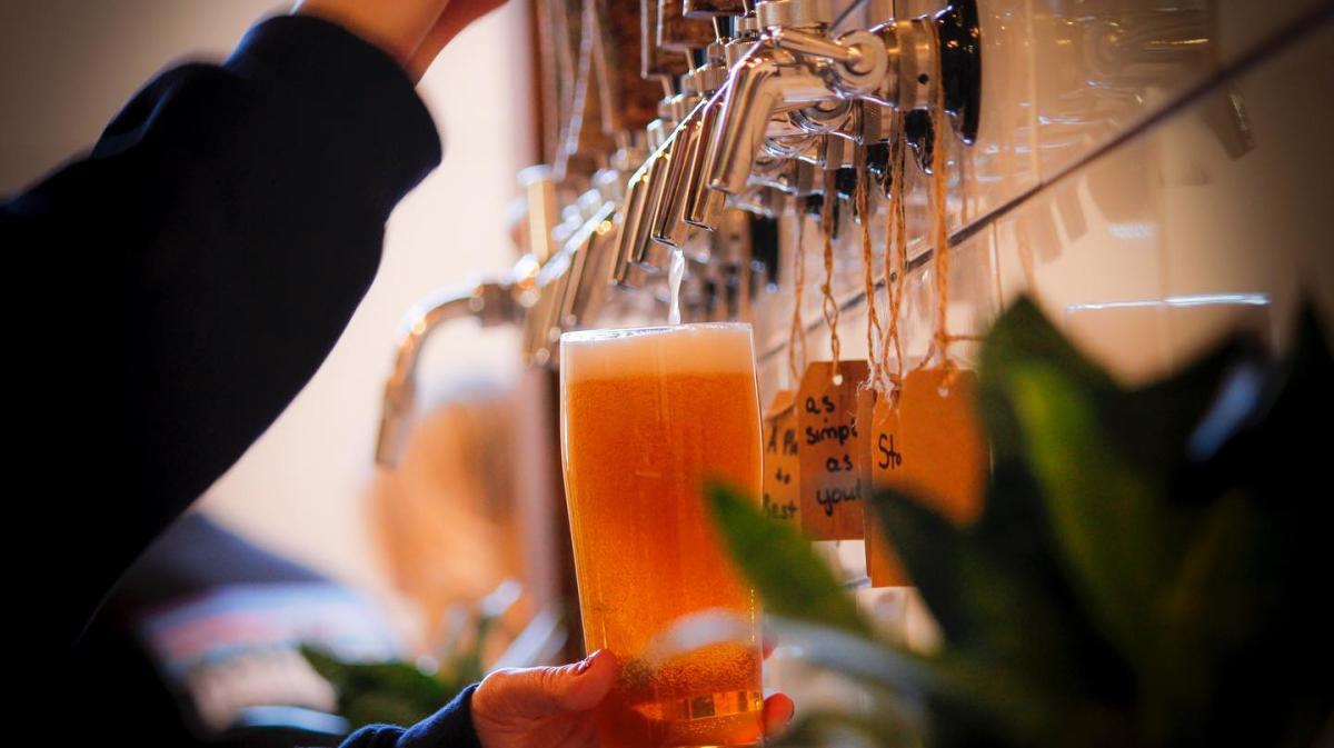 The Seed: A Living Beer Project