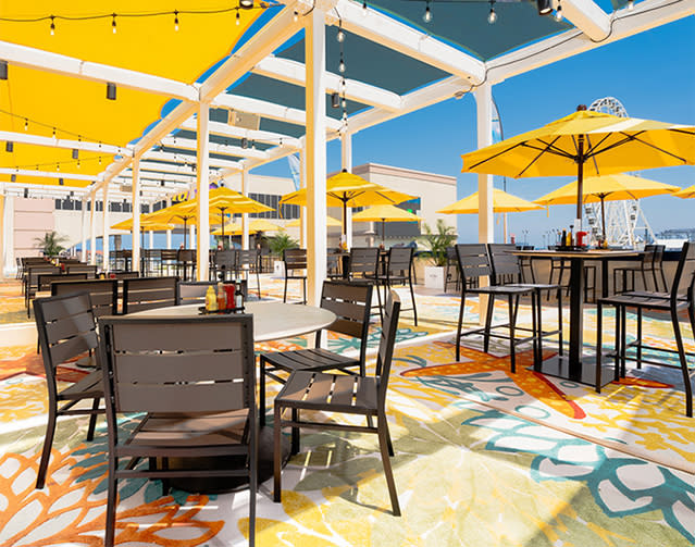 The Terrace