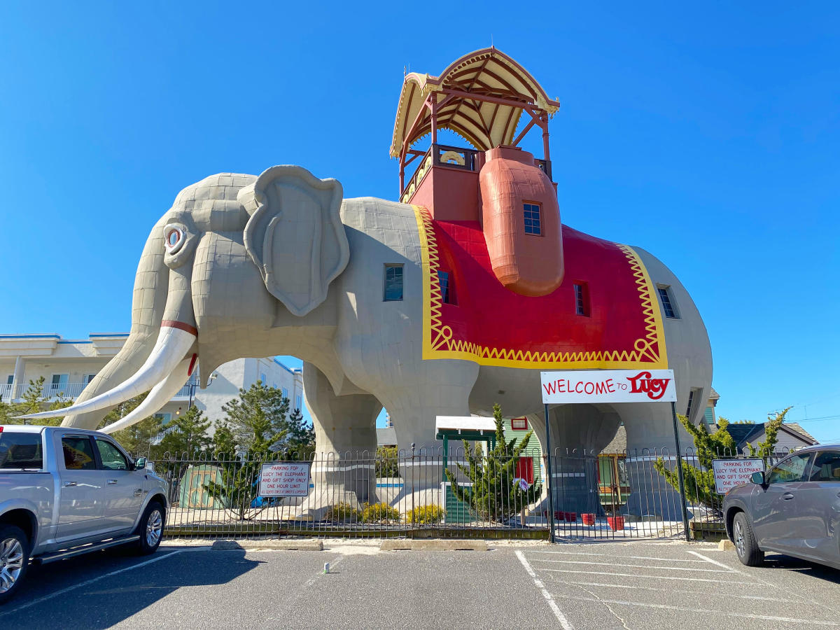 hotel elephant