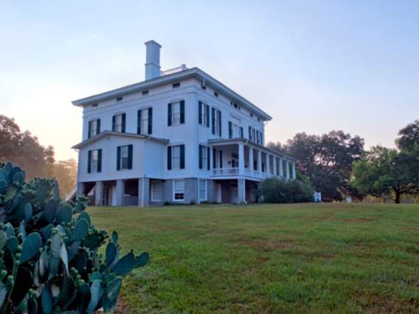 Redcliffe Plantation