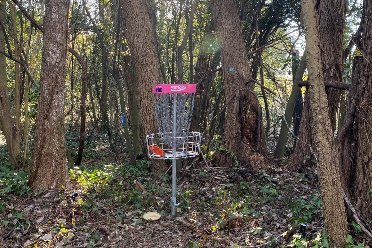 The Levee Disc Golf Course
