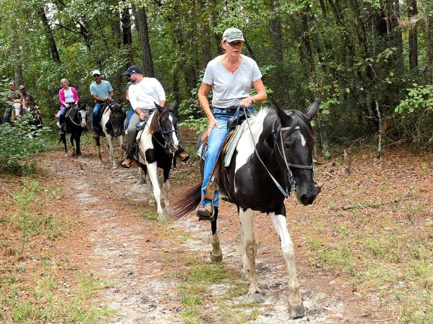 The Trail Riding Company