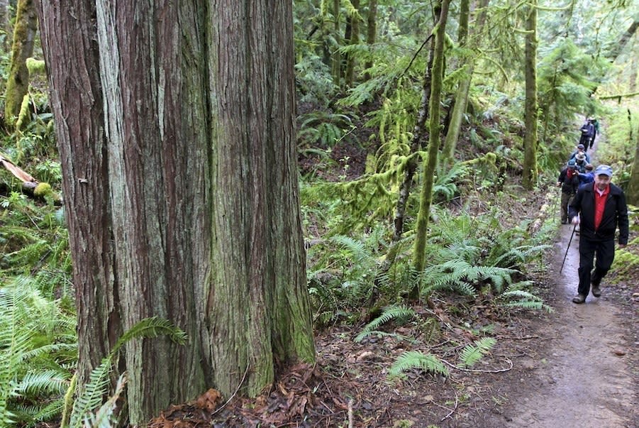 Grand Ridge Park | Issaquah, WA