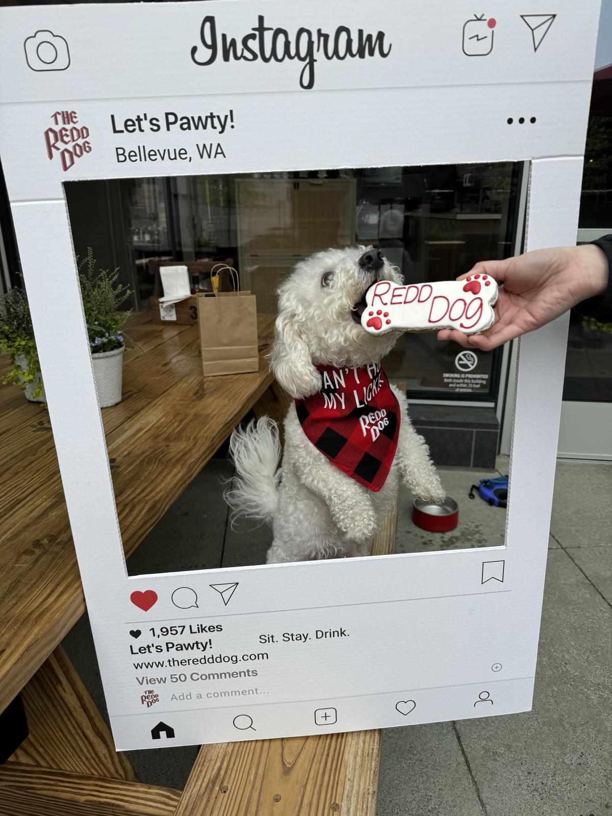 The Redd Dog | Bellevue, WA