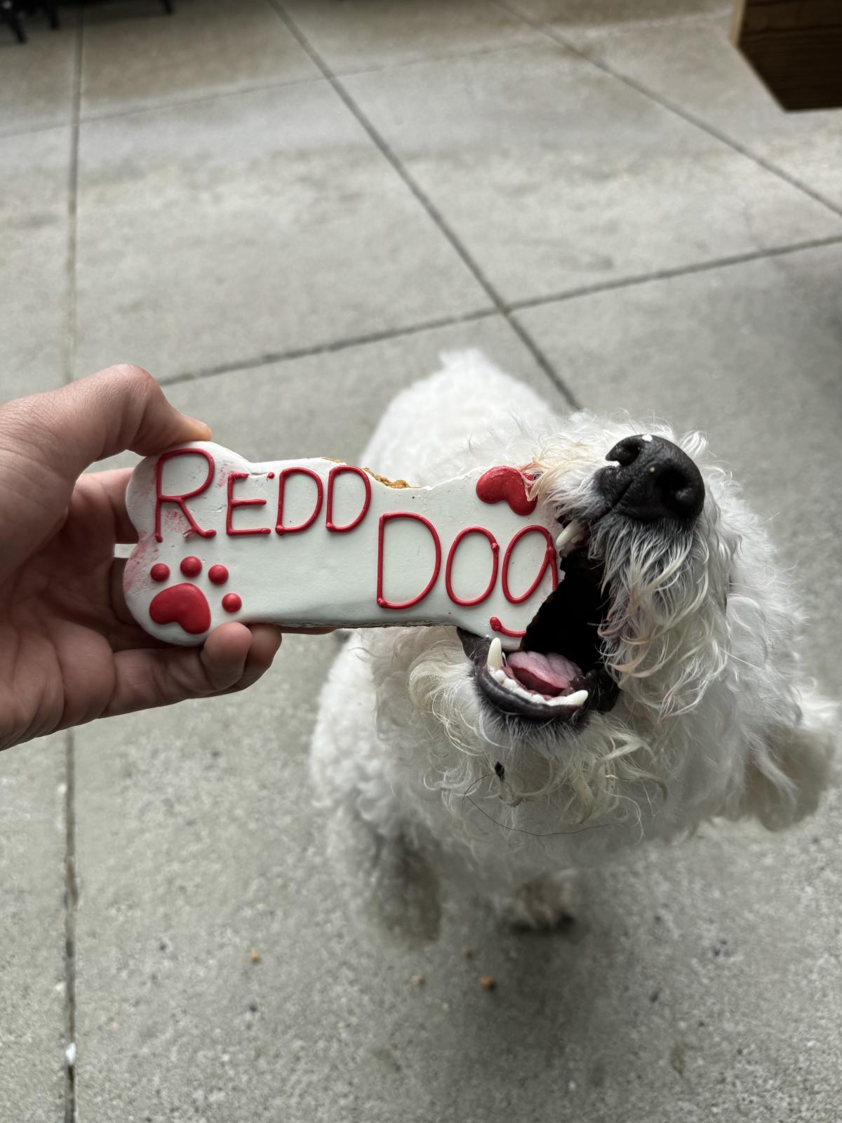 The Redd Dog | Bellevue, WA