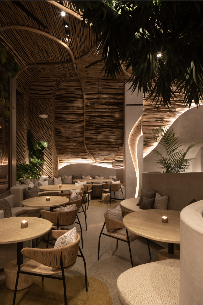 Cantina Monarca | Bellevue, WA