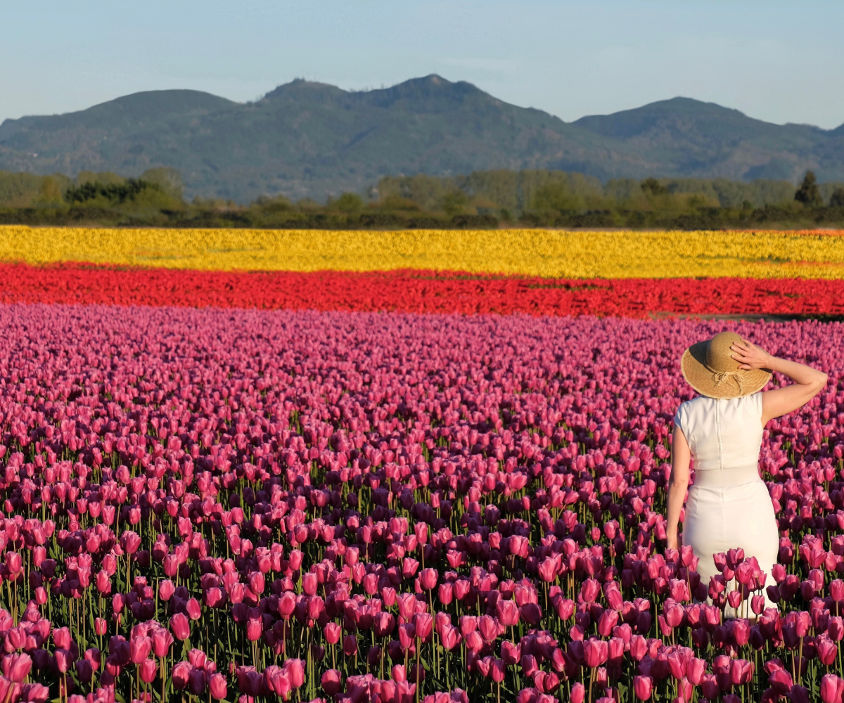 Explore Bellevue's Spring Flower Hotspots & Top Attractions | Visit ...