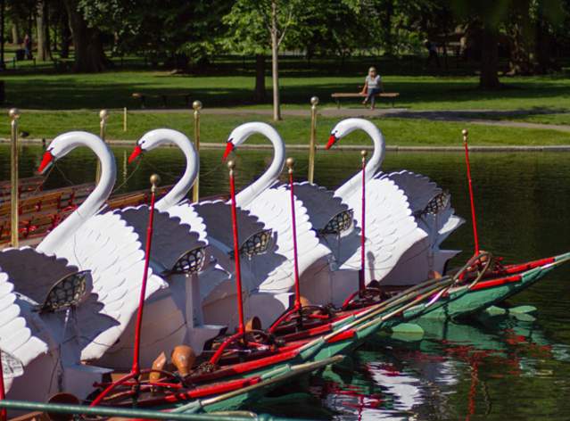 boston swan boat tickets