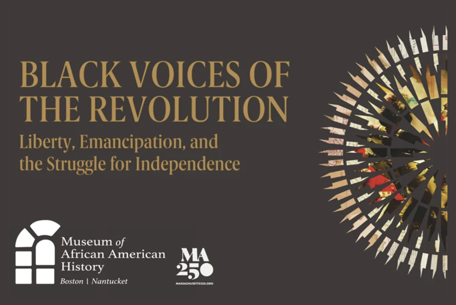 Black Voices of the Revolution