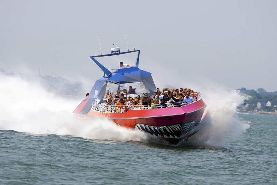 Codzilla with Boston Harbor Cruises